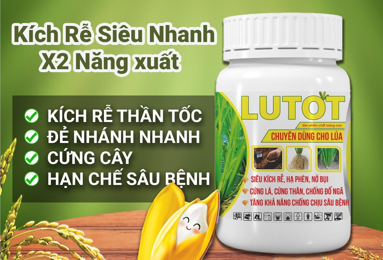 LUTOT - KÍCH RỄ THẦN TỐC, ĐẺ NHÁNH NHANH, CỨNG CÂY, HẠN CHẾ SÂU BỆNH